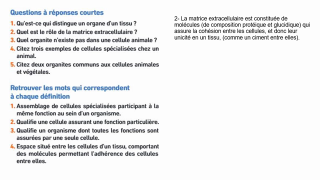 Pod - Correction Exercices 2nde Chapitre Organisat…