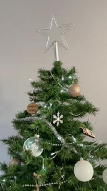 Pod - El Árbol De Navidad